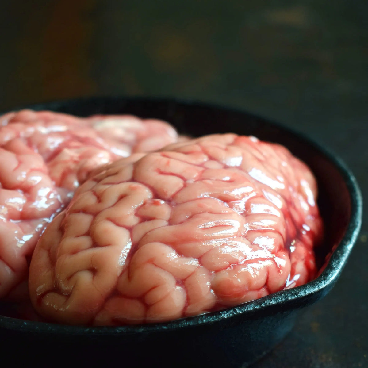 Pig Brain – Exotic Culinary Delicacy - Tillman’s Meats – Tillman's Meats